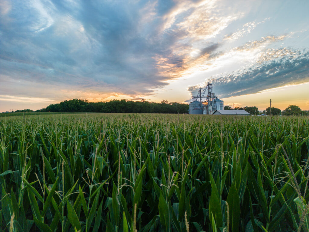 Latest WASDE Report Demonstrates the Need for Year-Round E15